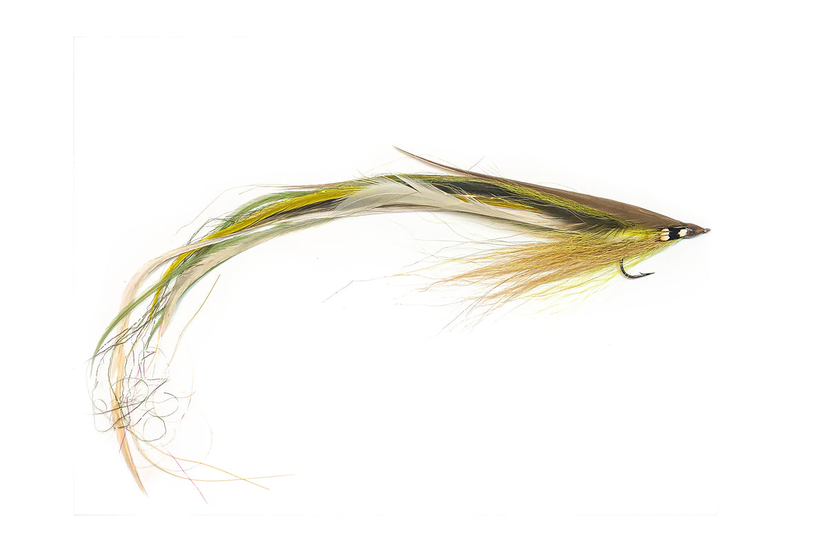 SPECIALS – Flatwing