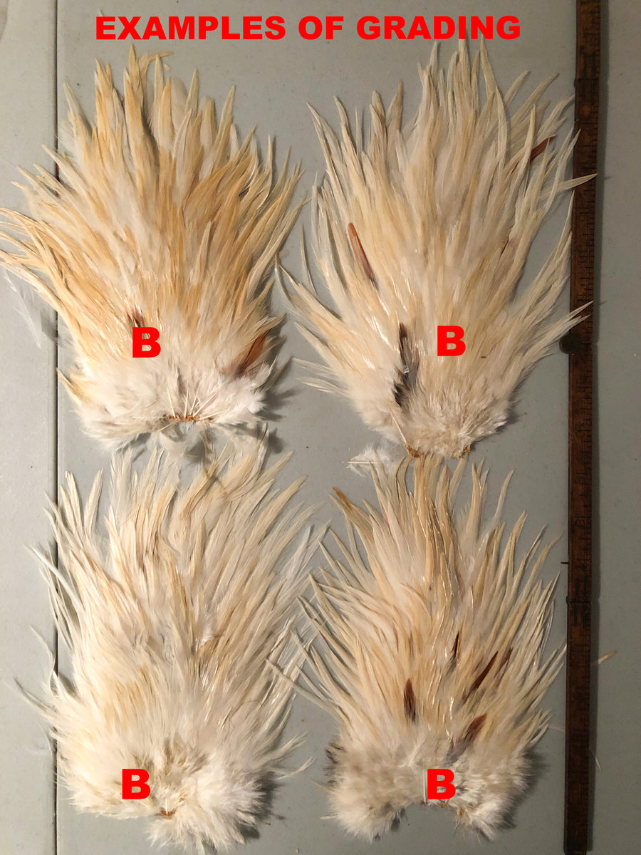 Hen Saddles – Flatwing