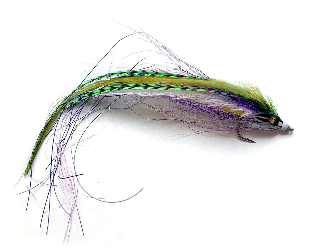 Mackerel Patterns – Flatwing