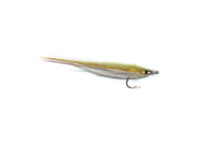 Flatwing